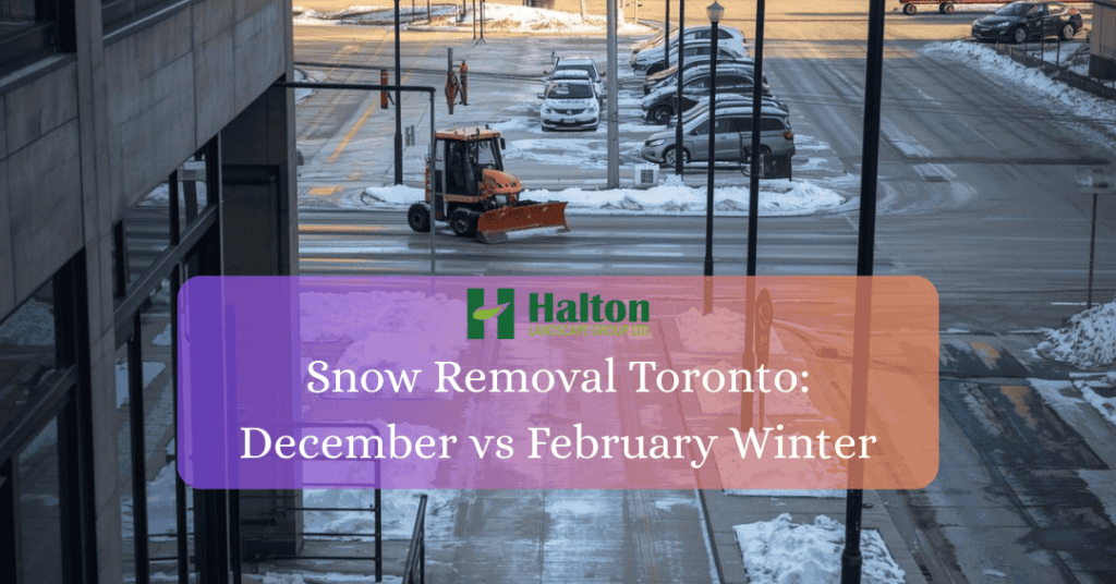 Snow Plowing Service in Toronto: December vs February Plans